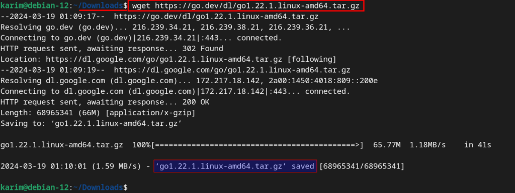 How to Install Go on Debian 12 - Greenwebpage Community