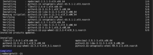 How to Install Python on Red Hat Enterprise Linux 9 - Greenwebpage ...