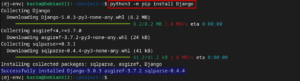 How to Install Django on Debian 12 - Greenwebpage Community