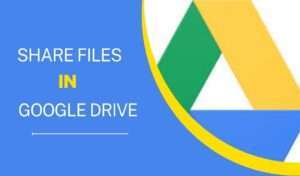 How to Share Files in Google Drive - Greenwebpage Community