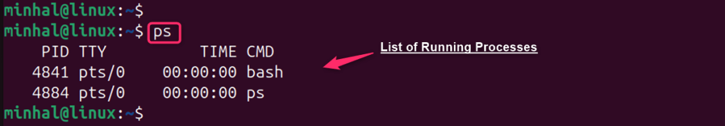How to List Running Processes in Ubuntu 24.04: Top 4 Ways ...