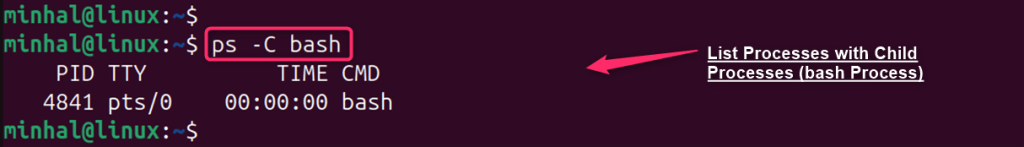 How to List Running Processes in Ubuntu 24.04: Top 4 Ways ...