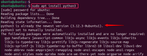 How to Install PyTorch on Ubuntu 24.04: Using PIP & Anaconda ...