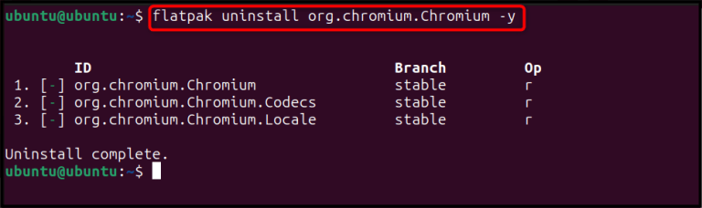 How to Install Chromium Web Browser on Ubuntu 24.04: Step-by-Step ...