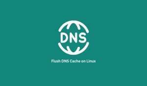 How to Flush Local DNS Cache on Linux: 2 Proven Methods