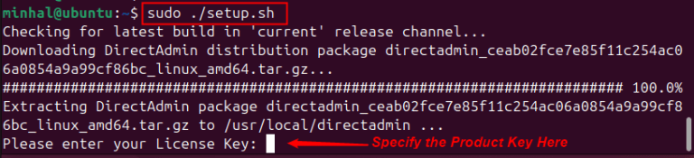 How to Install DirectAdmin on Ubuntu 24.04: Step-by-Step