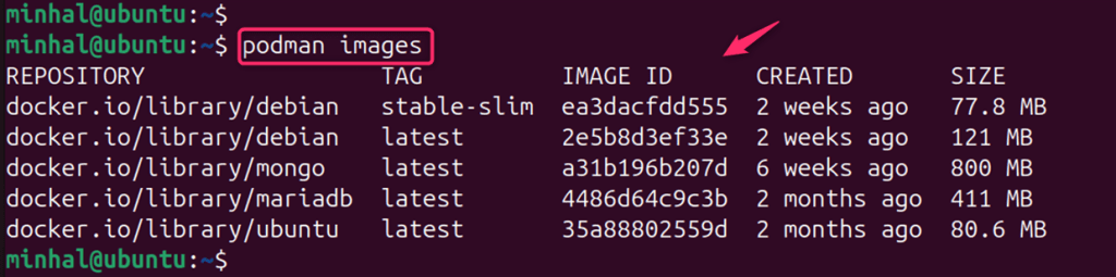 How to Install and Manage Podman on Ubuntu 24.04