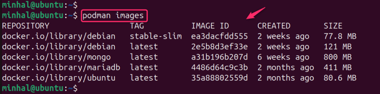 How to Install and Manage Podman on Ubuntu 24.04