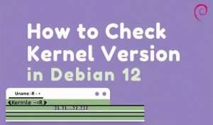How to Check the Kernel Version in Debian 12 - Greenwebpage Community