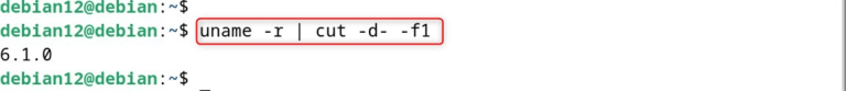 How to Check the Kernel Version in Debian 12 - Greenwebpage Community