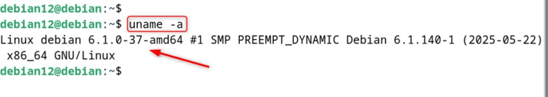 How to Check the Kernel Version in Debian 12 - Greenwebpage Community
