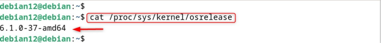 How to Check the Kernel Version in Debian 12 - Greenwebpage Community