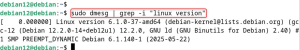 How to Check the Kernel Version in Debian 12 - Greenwebpage Community