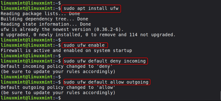12 Things to Do After Installing Linux Mint 22